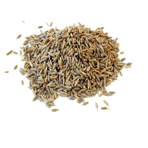 Cumin Seeds Whole Organic 3kg - DTE Foods