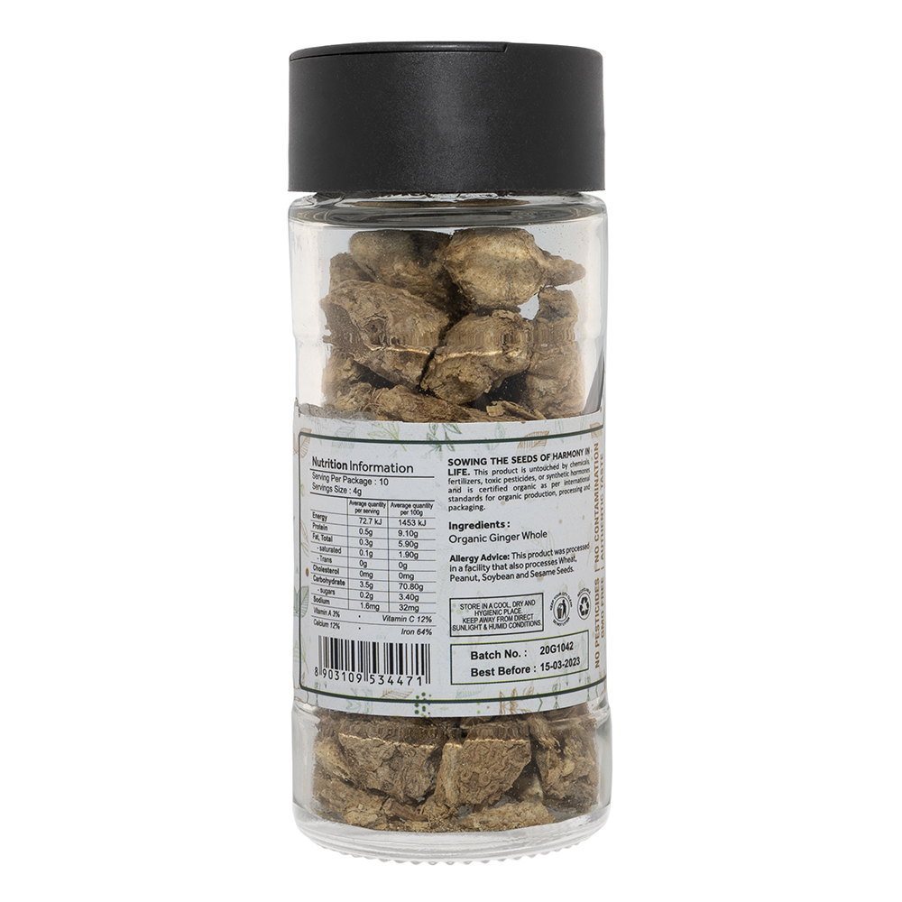 Ginger Pieces Organic 40g - DTE Foods
